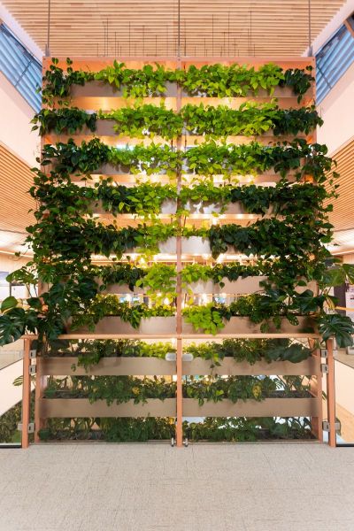 Ogre Central Library | Visit Ogre